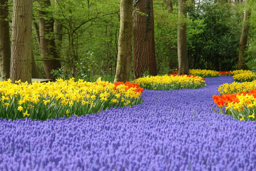 Tips to Save Energy in the Spring, HVAC-Tips